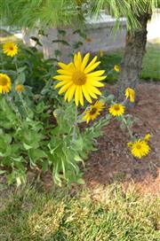 Products - Franklin Soil and Water Conservation District