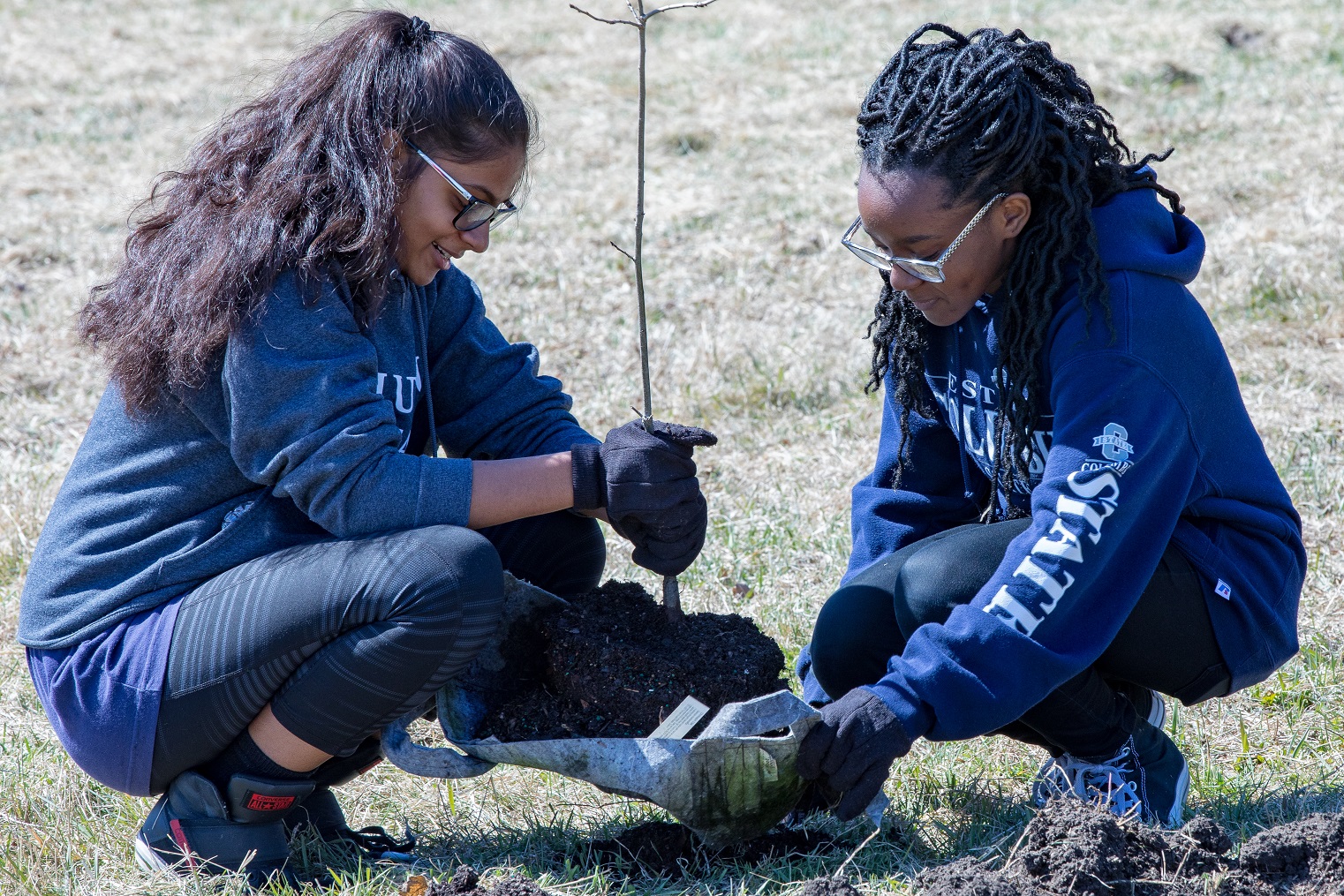 Columbus Tree Assistance Program - Franklin Soil and Water Conservation District