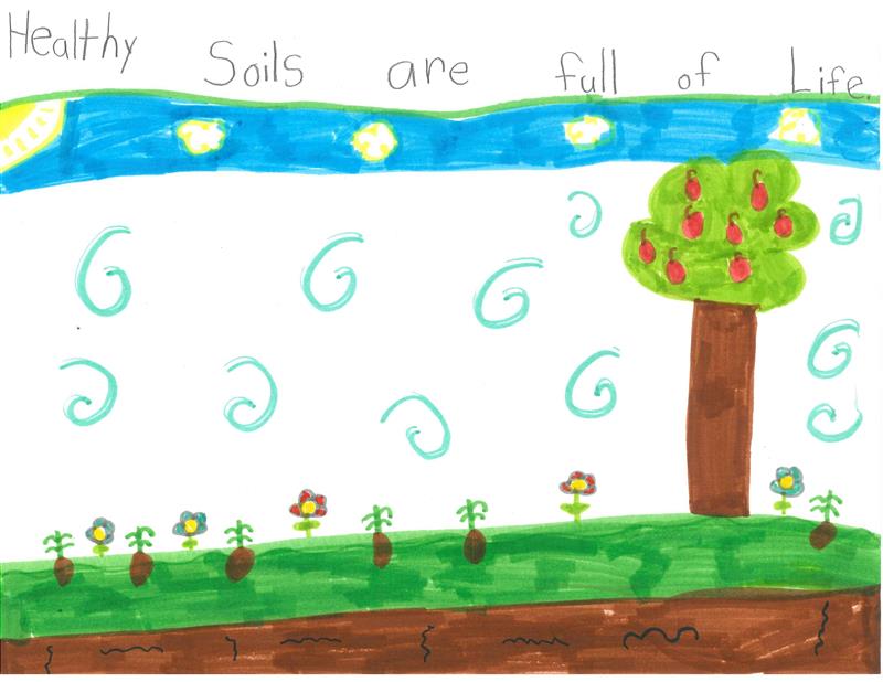 Conservation Poster Contest - Franklin Soil and Water Conservation District