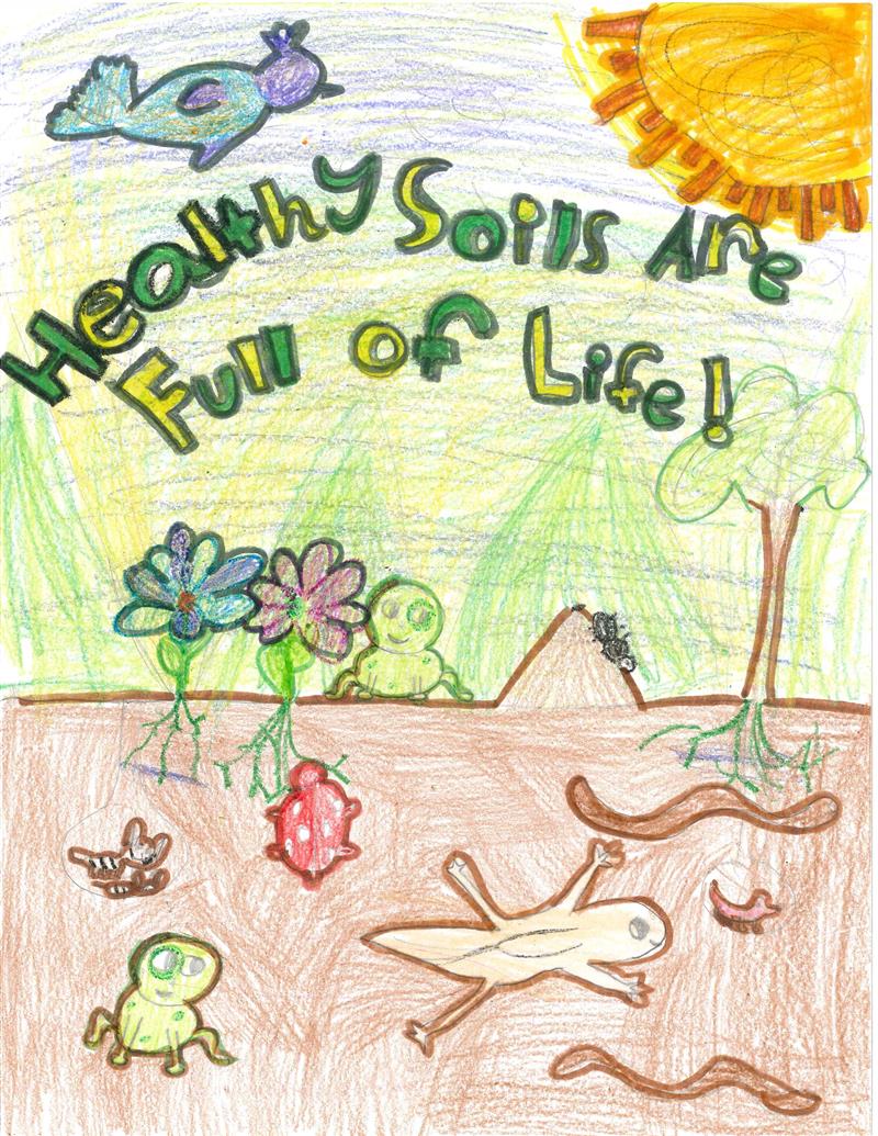 Conservation Poster Contest - Franklin Soil and Water Conservation District
